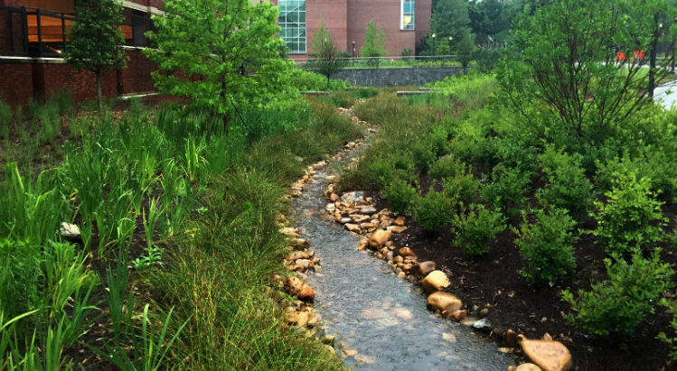 Anatomy of a Grant (Part 2): The Courtship Between a Donor and an Owner ...