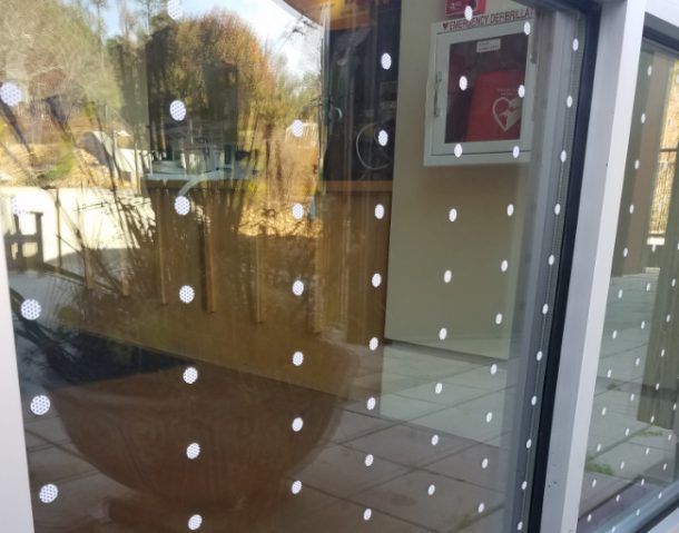 Kendeda Building’s bird-safe glass: Small step in 'shockingly huge ...