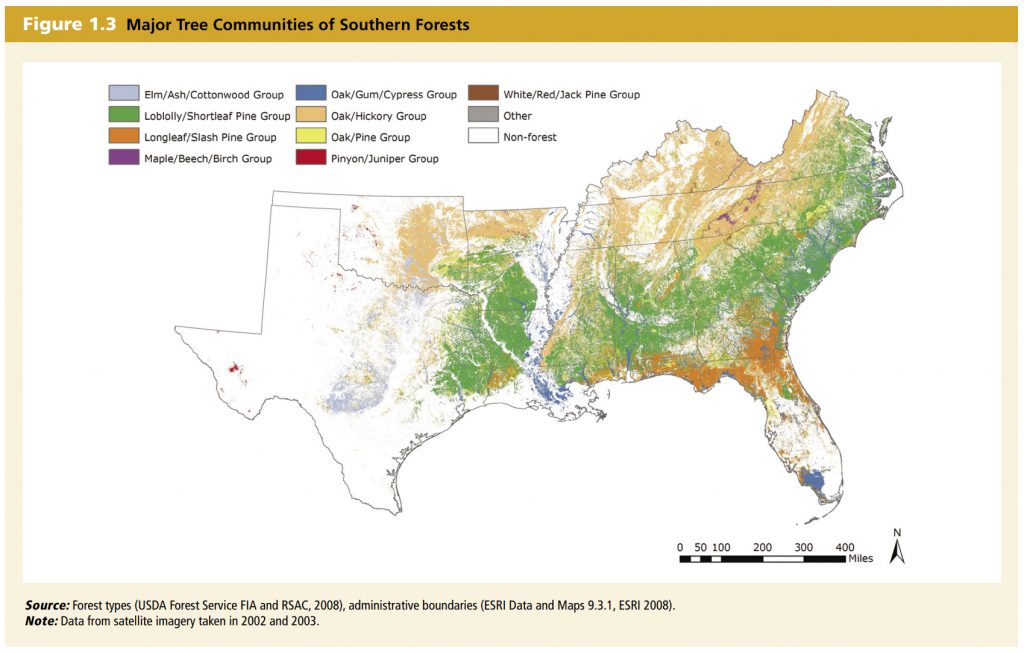 Southern forests: A resource worth protecting - Living Building Chronicle