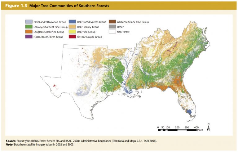 Southern forests: A resource worth protecting - Living Building Chronicle